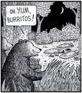 Burrito Humor – The Burrito Project